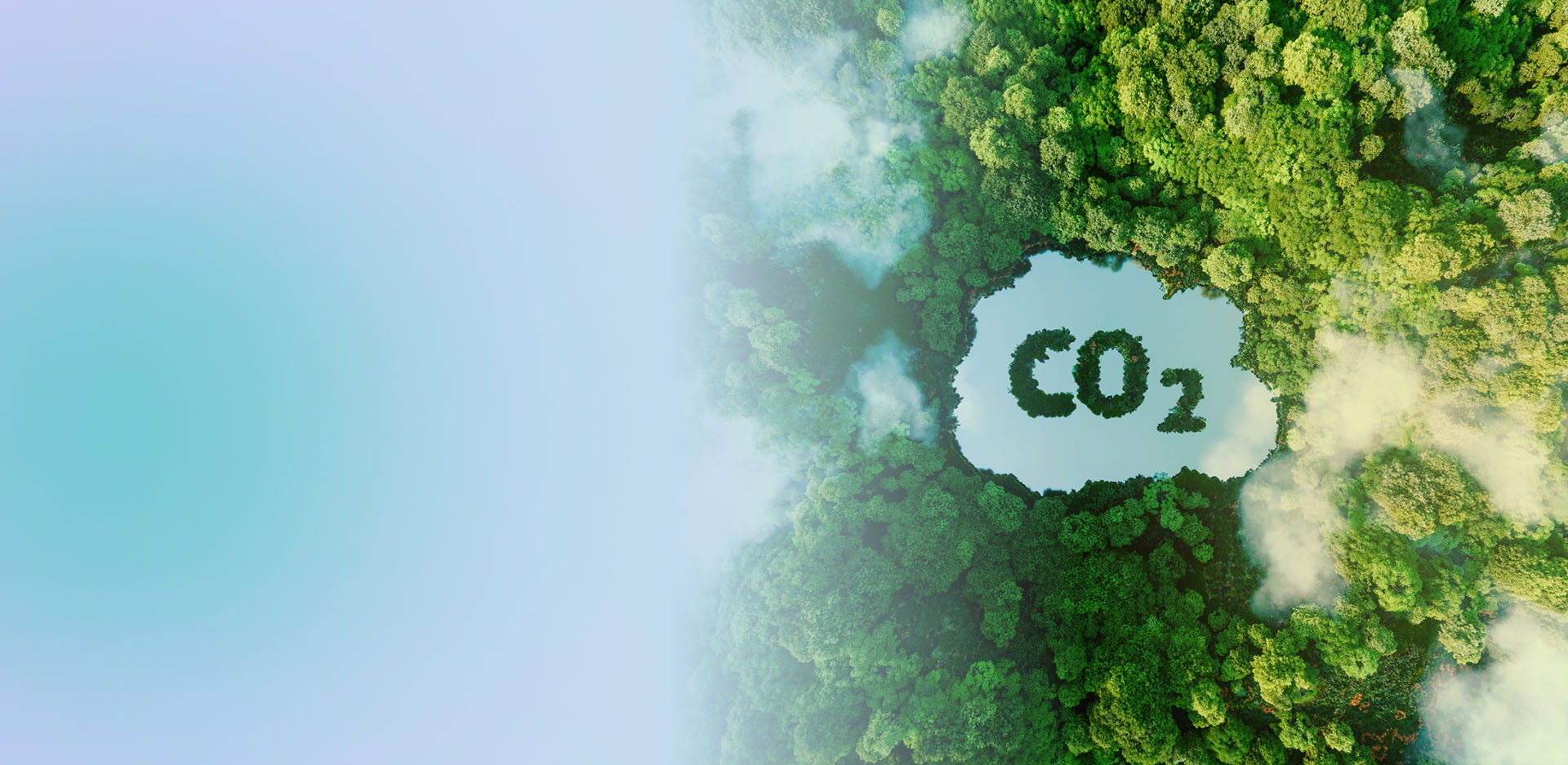 carbon bank - Revolutionizing Carbon Trading for Global Impact